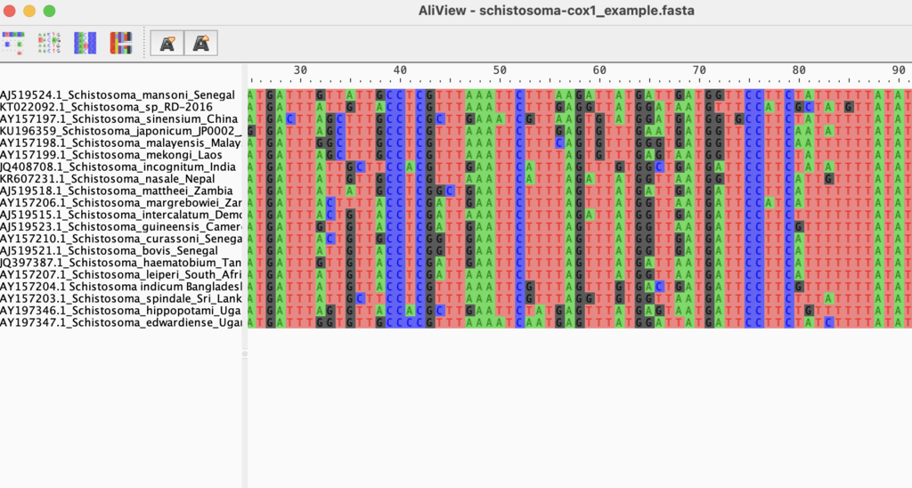Using alignment viewers: An Introduction with Aliview - Sequence Gazing